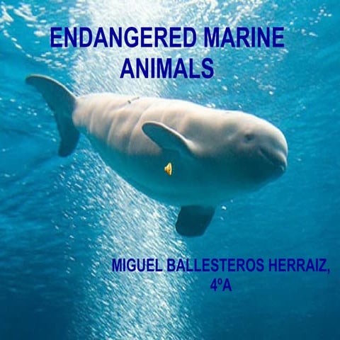 Endangered marine animals | PPT