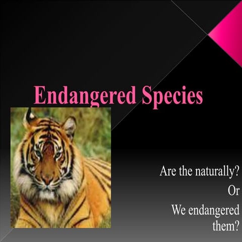 Endangered Species | PPTX