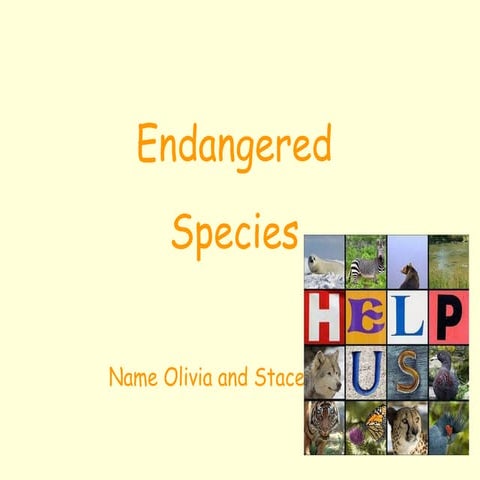 Endangered Species | PPT | Zoos & Aquariums | Attractions