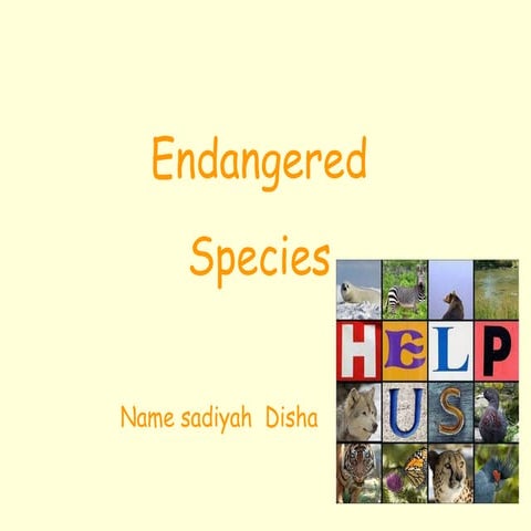 Endangered Animal Web Quest | PPT