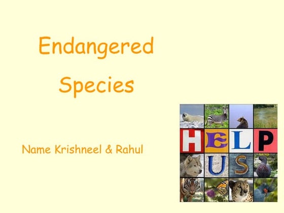 Endangered Species | PPT