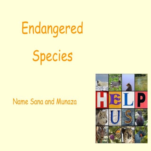 Endangered Species | PPT