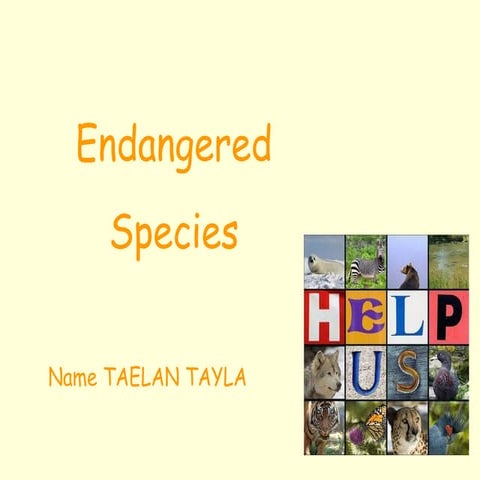 Endangered Species | PPT
