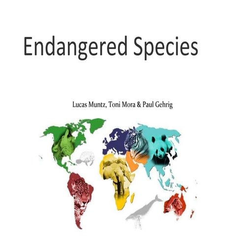 Endangered species | PPT | Zoos & Aquariums | Attractions