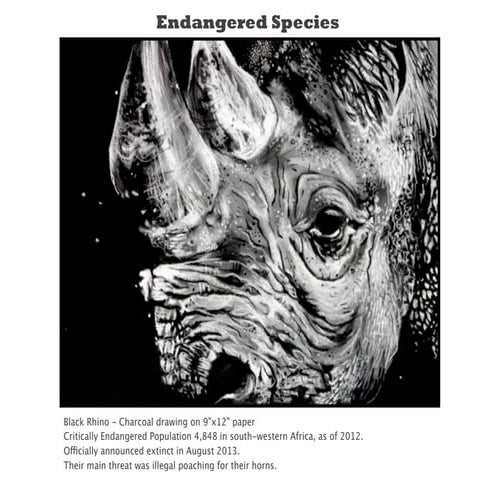 Endangered Species • Fine Art Drawings | PPT