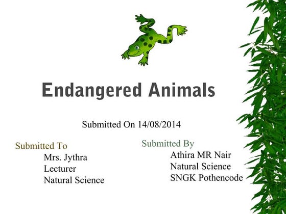 Endangered animals | PPTX | Environment | Science