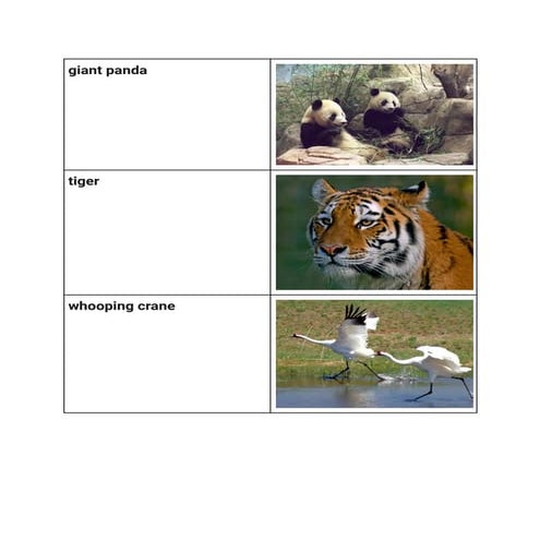 endangered species.pdf