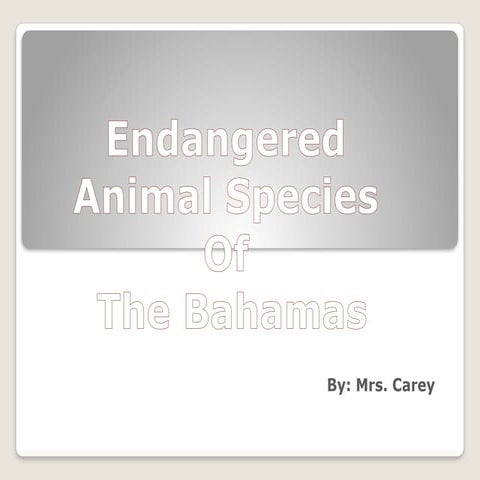 Endangered Species PowerPoint Presentation | PPTX
