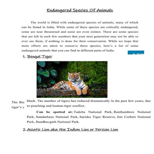 Endangered Species Of Animals presentation | DOC