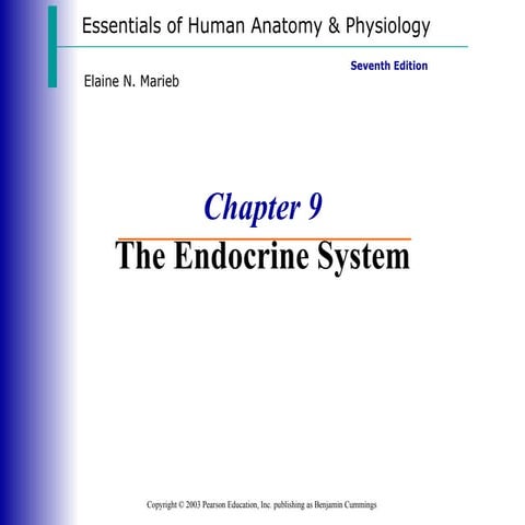 Endocrine | PPT
