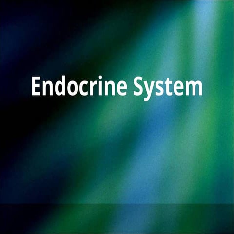 Endocrine System.ppt