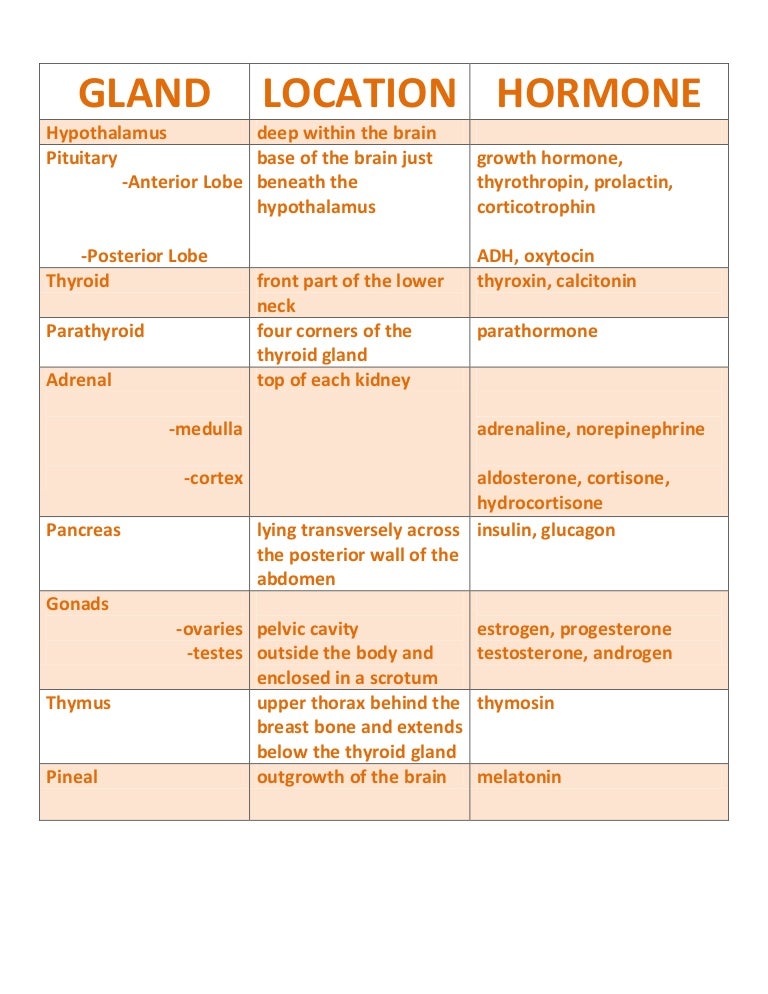 Endocrine organs and hormones - dsaesh