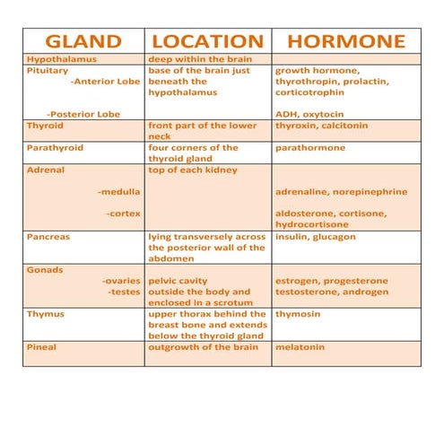 Endocrine System Chart Your Endocrine System: The Key To A Happy Body