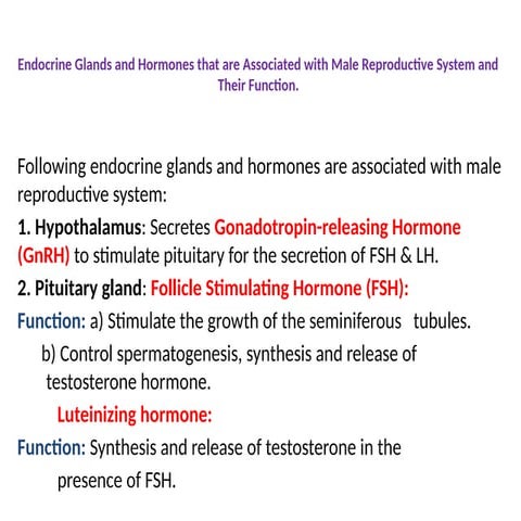 endocrine-glands-regulating-reproductive-system.pptx
