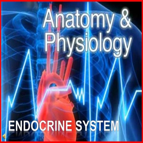 Endocrine-System ppt.ppt