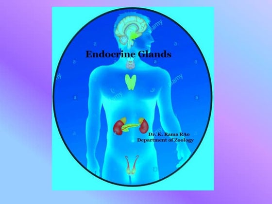 Endocrine glands | PPT