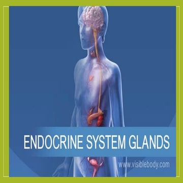 Science 10, Third Quarter Endocrine System | PPTX