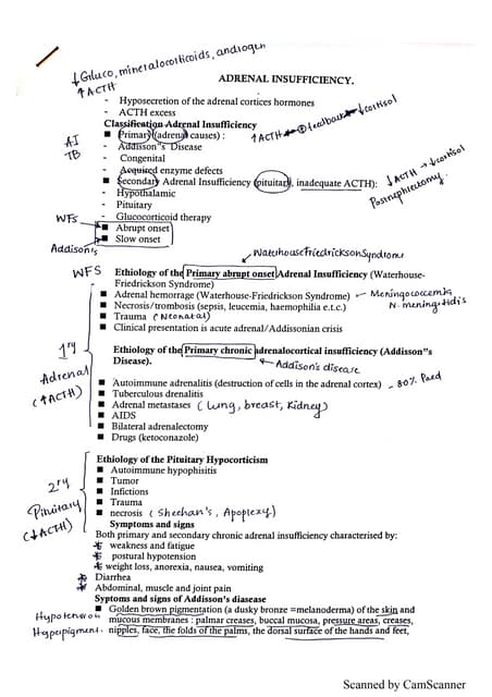 ECG Basics | PDF