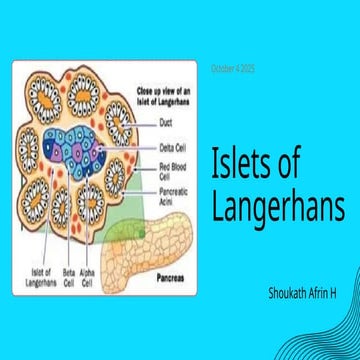 endocrine functions of pancreas a physiological aspect | PPTX