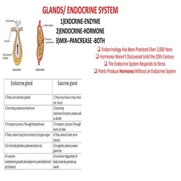 ENDOCRINE GLAND YOGA NET UGC,SCIENCE STUDENTS,NURSHING AND ALLIED ...