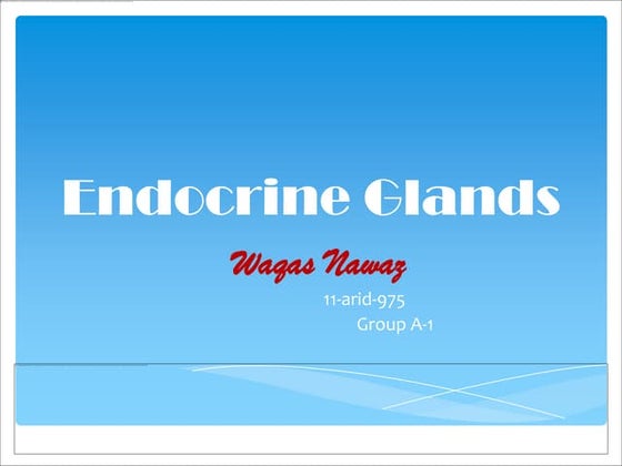 Endocrine System Anatomy | PPTX