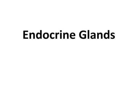 Endocrine System Facts | PPT