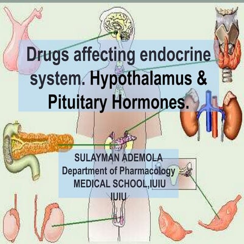 Endocrine lecture HYPOTHALAMUS AND PITUITARY HORMONES 2023.pptx