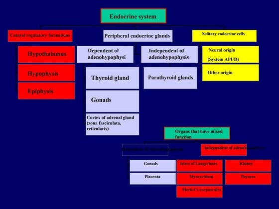 Endocrine system2 | PPTX