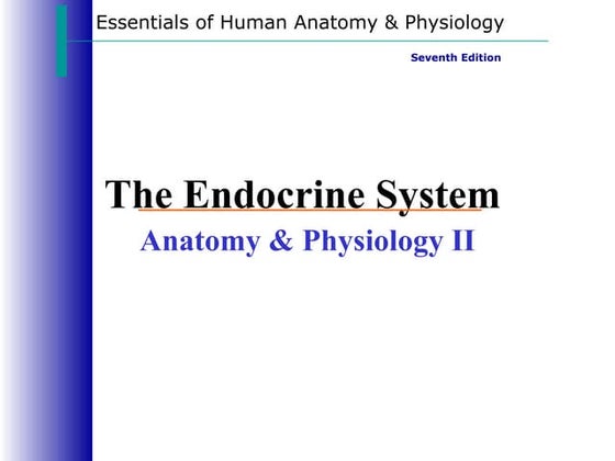 Endocrine Chart | PDF