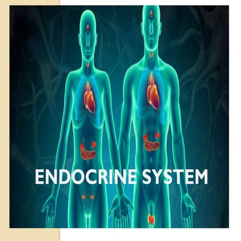endocrine_notes_for_nursing_and_other_courses | PDF