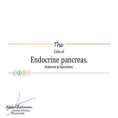 Endocrine pancreas | PDF | Endocrine and Metabolic Diseases | Diseases and Conditions