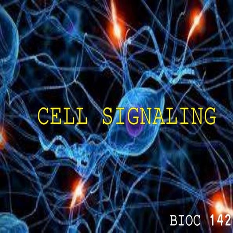 Endocrine signaling - BUGEMA UNIVERSITY | PPT