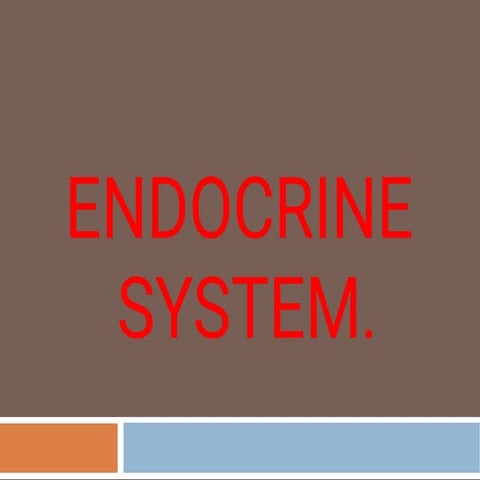 endocrinesystem-1.pdf.studu anatomy endocrine system | PPT