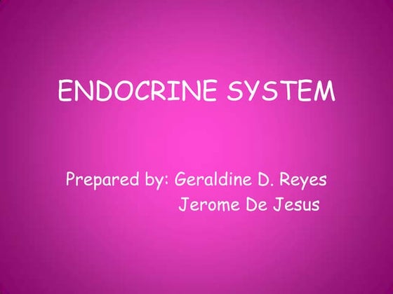 Endocrine System Anatomy | PPT