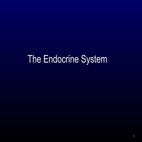 Endocrine system | PPT