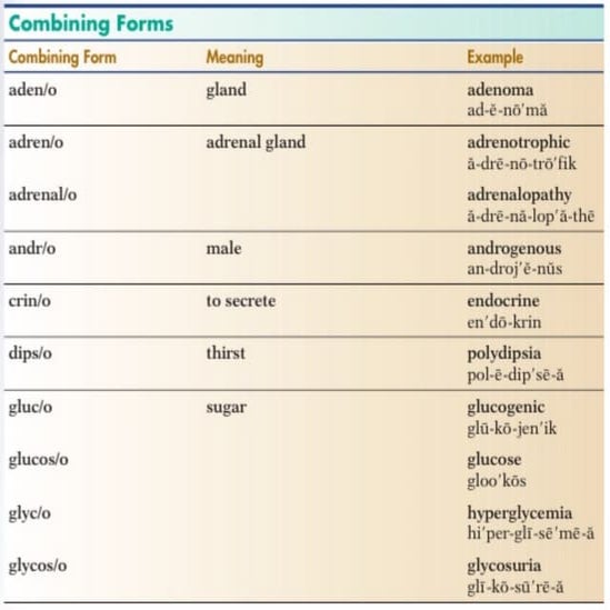 Endocrine system | PPT