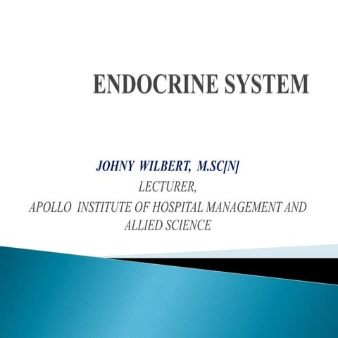 Endocrine System Anatomy | PPTX