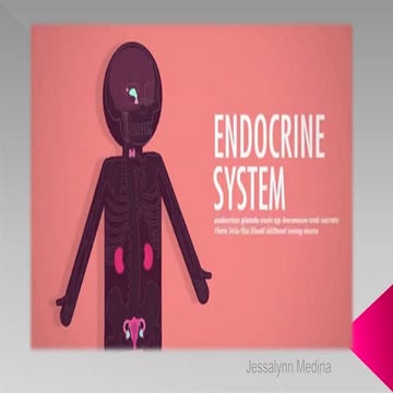 Introduction Endocrine Glands Presentation Pptx