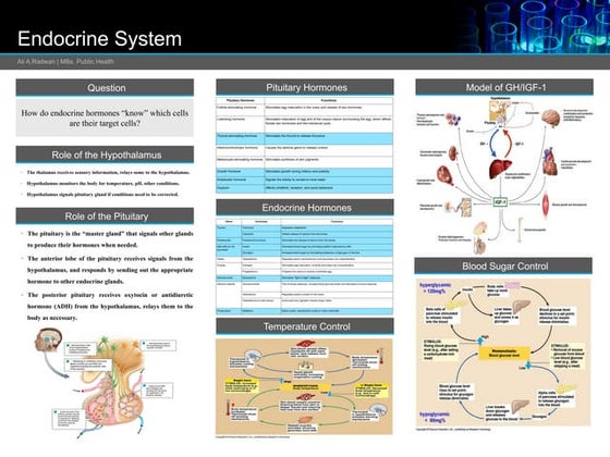 Lecture of Aging in Endocrine System.pptx