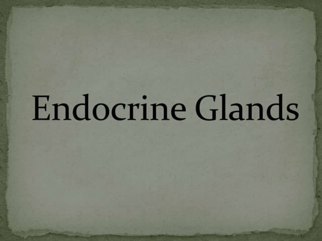 Endocrine and Lymphatic System | PPTX