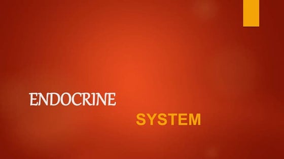 Endocrine System Anatomy | PPT