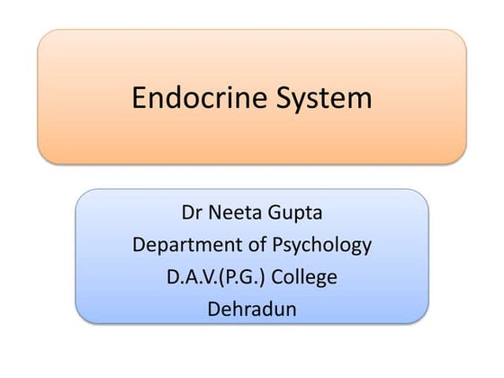 Endocrine System Anatomy | PPT