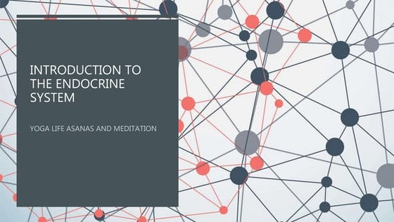 Endocrine System Anatomy | PPT