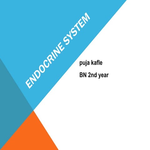 Endocrine Glands (Structure and Function) | PPTX