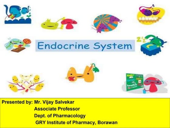 Endocrine System Anatomy | PPT