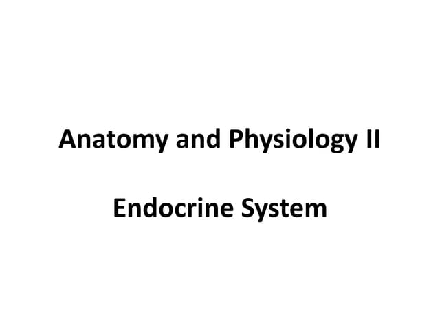 Endocrine System (Hormones in Animals/WBBSE)) | PPTX