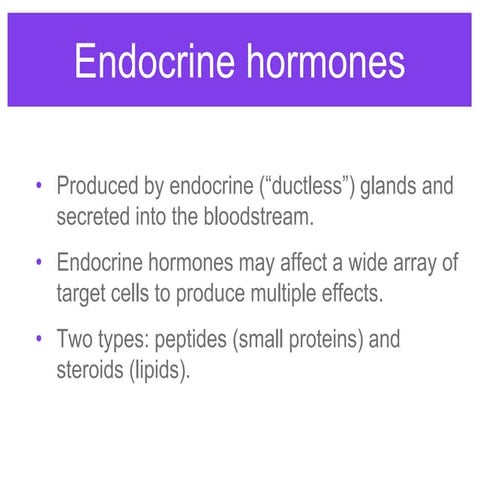 017_OBHG_Endocrine-12_-_2006.ppt
