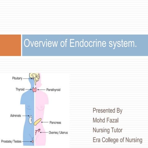 endocrine System for Science 10 Quarter three .pptx