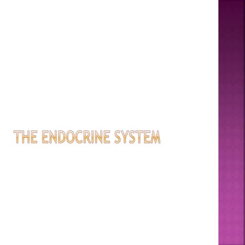 endocrine system.pptx | Endocrine and Metabolic Diseases | Diseases and Conditions