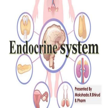 endocrine system.pptx